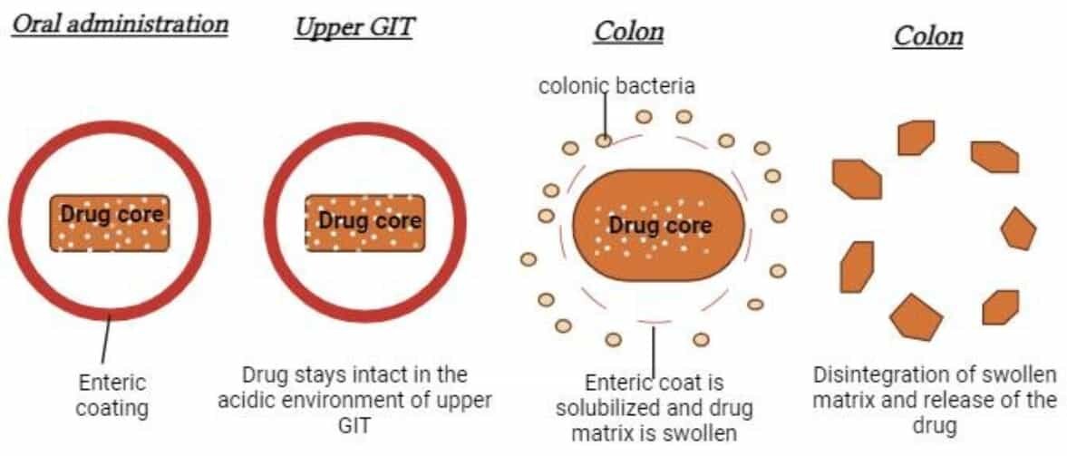 Delayed Release vs Enteric Coated: What's the Difference? - IPharmachine